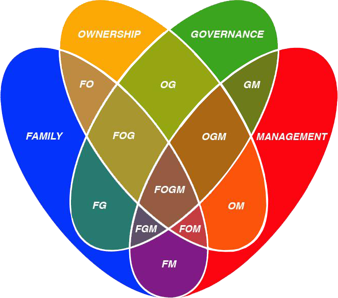 Multi-Roles Model: Theory and Practice - FFI Practitioner